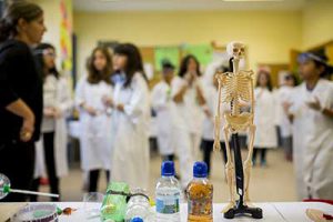 Trilema SAFA Madrid | Escuela de la Fundación Trilema